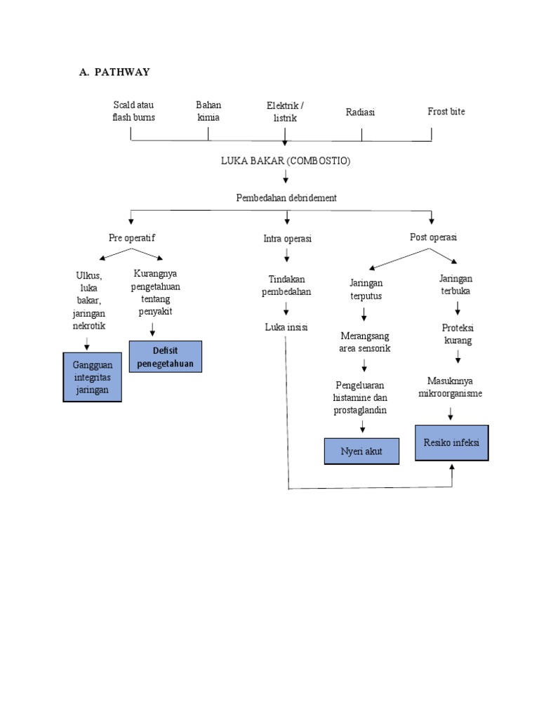 Pathway Pembedahan Debridement Luka Bakar | PDF