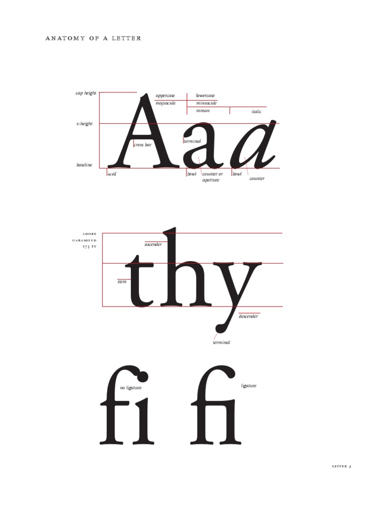 Anatomy of Letters | PDF | Sans Serif | Typefaces