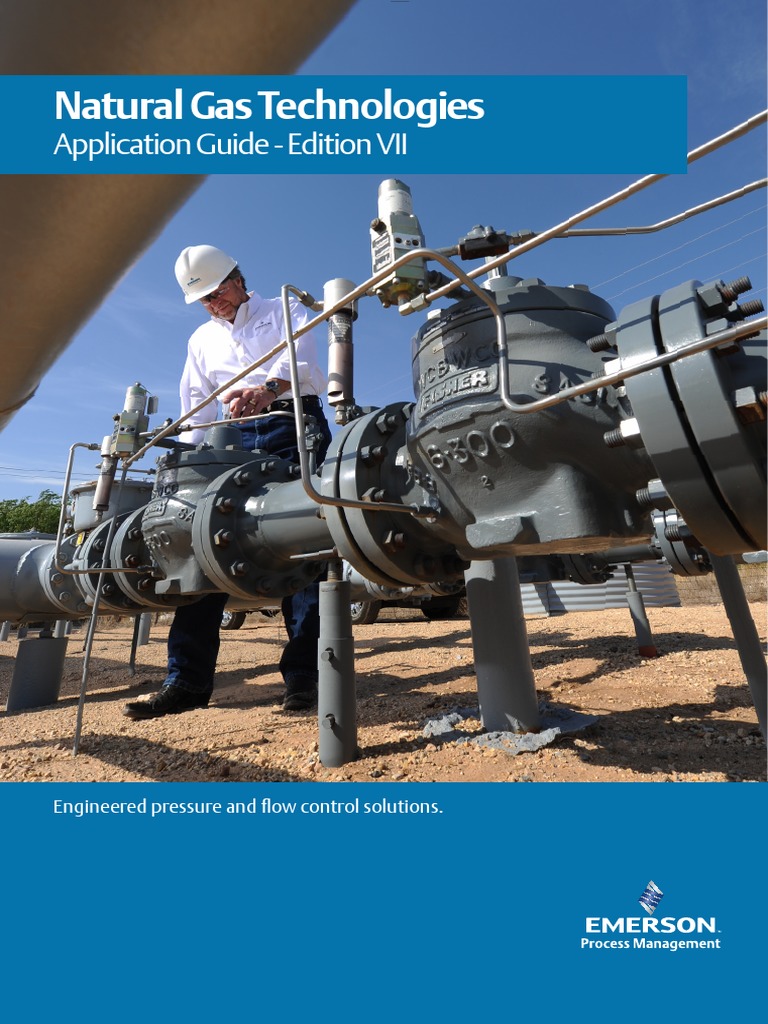 Natural_Gas_Application_Guide__.pdf | Liquefied Petroleum Gas | Natural Gas