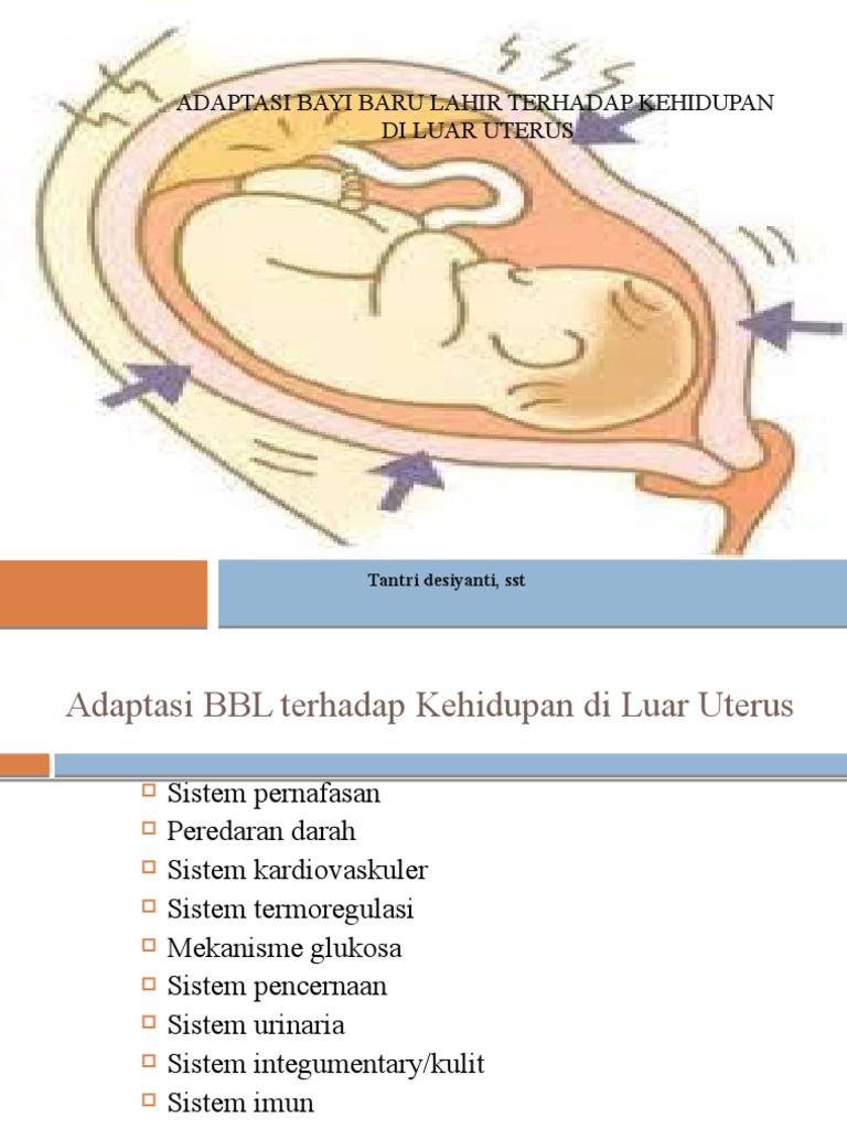 Adaptasi BBL | PDF | Kesehatan Holistik