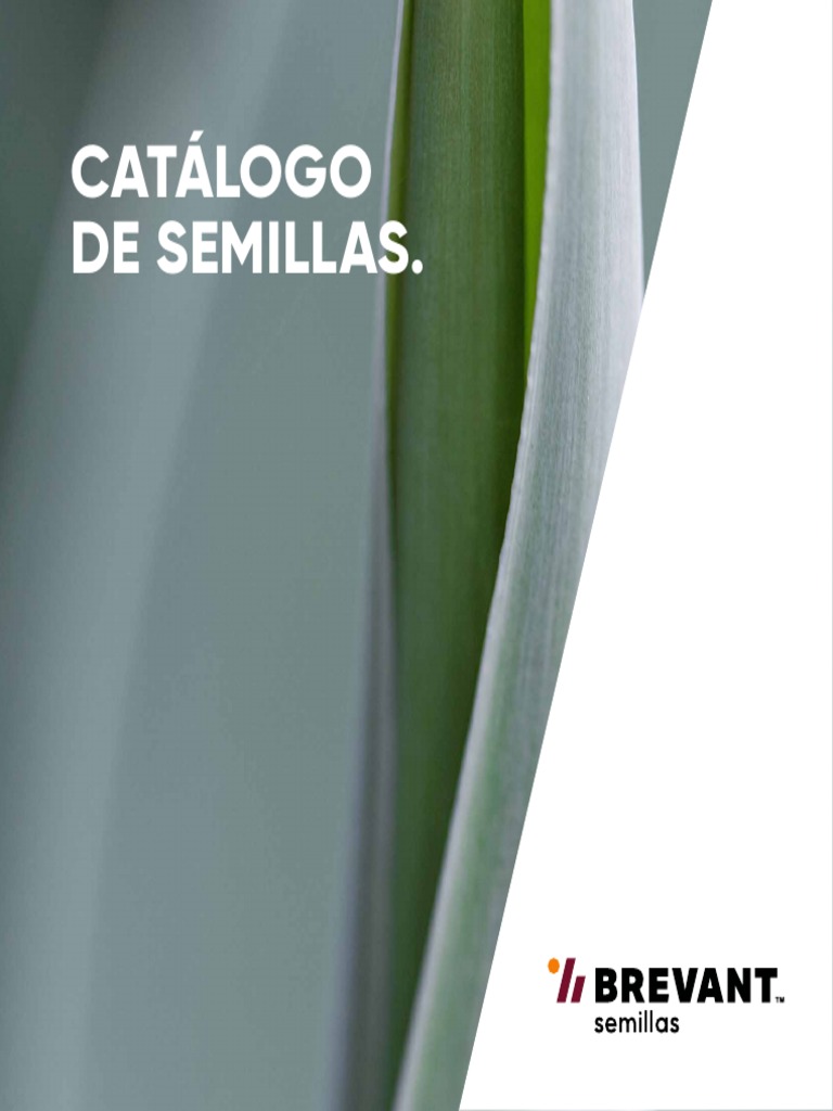 Catálogo Brevant PDF | PDF | Horticultura y jardinería | Plantas