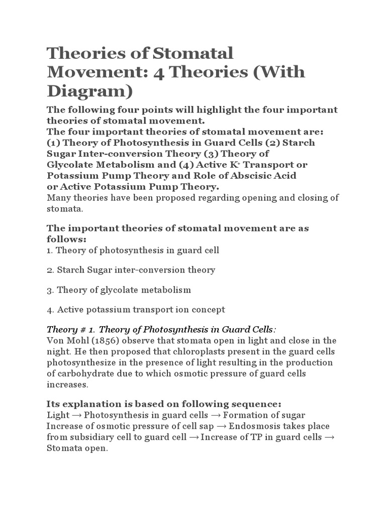 Theories of Stomatal Movement: 4 Theories (With Diagram) : Theory # 1 ...