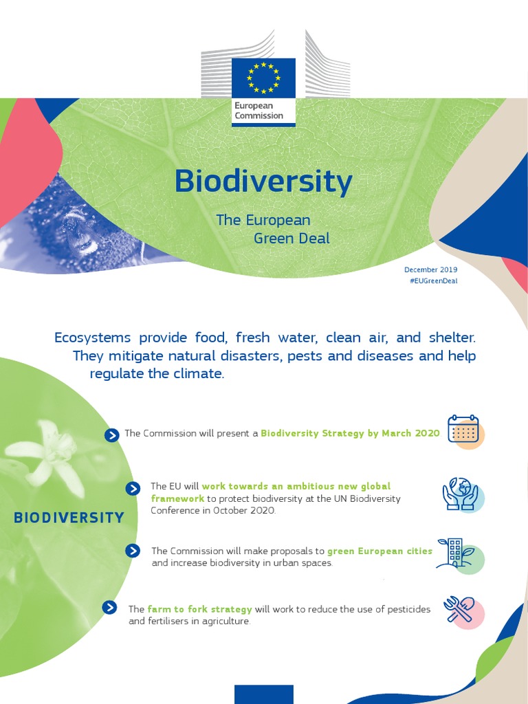 EU Biodiversity Strategy Overview 2020 | PDF | Biodiversity | Forests