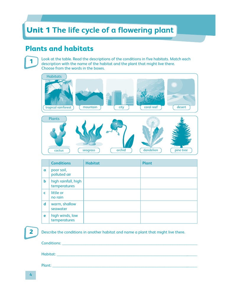 Flowering Plant Life Cycle and Habitats | PDF | Home & Garden