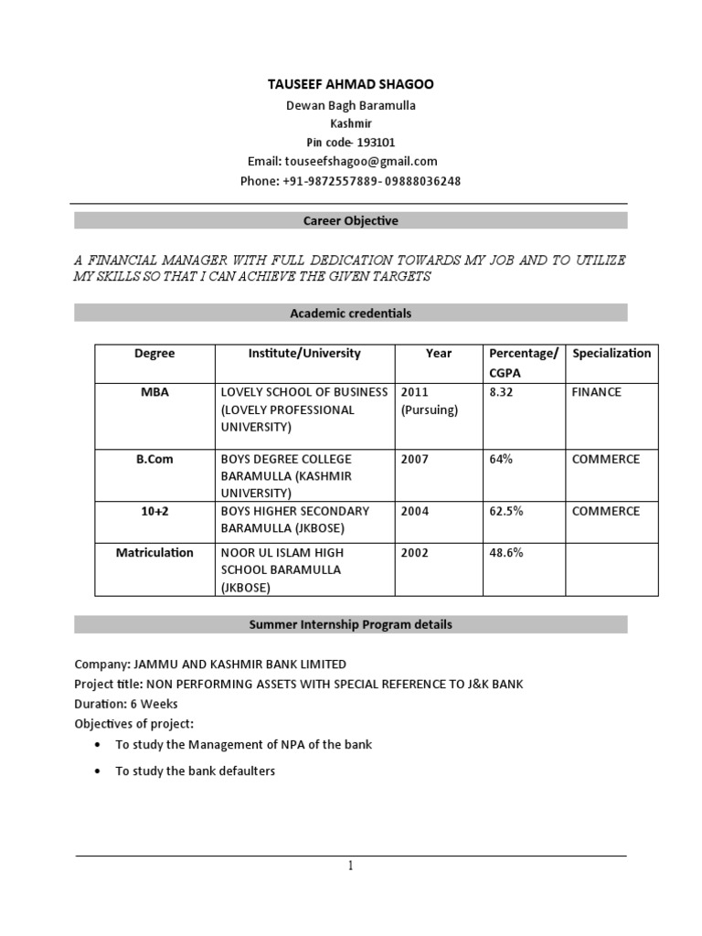 Career Objective: Tauseef Ahmad Shagoo | PDF | Business | Economies