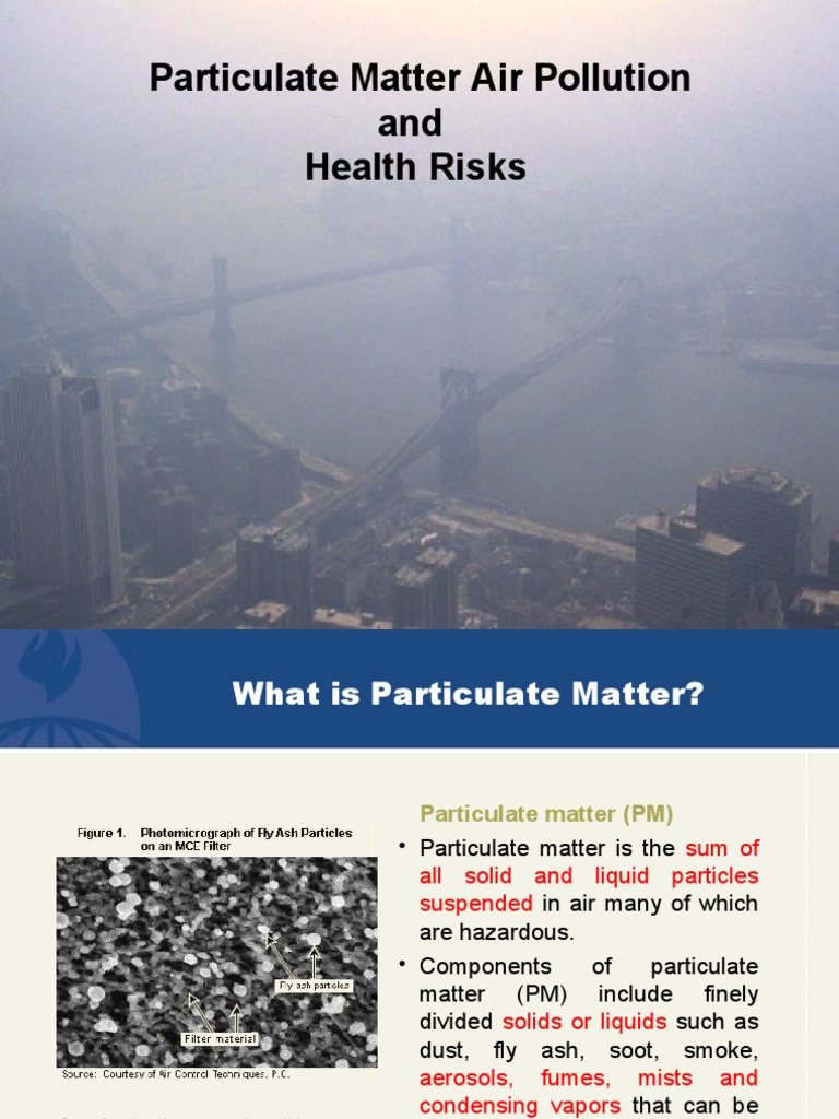 Understanding Particulate Matter | PDF | Particulates | Air Pollution