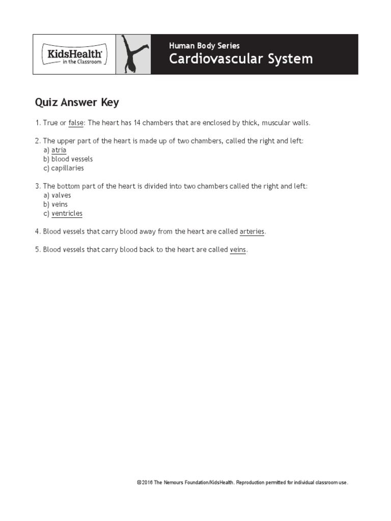 Cardiovascular Quiz Answers | PDF
