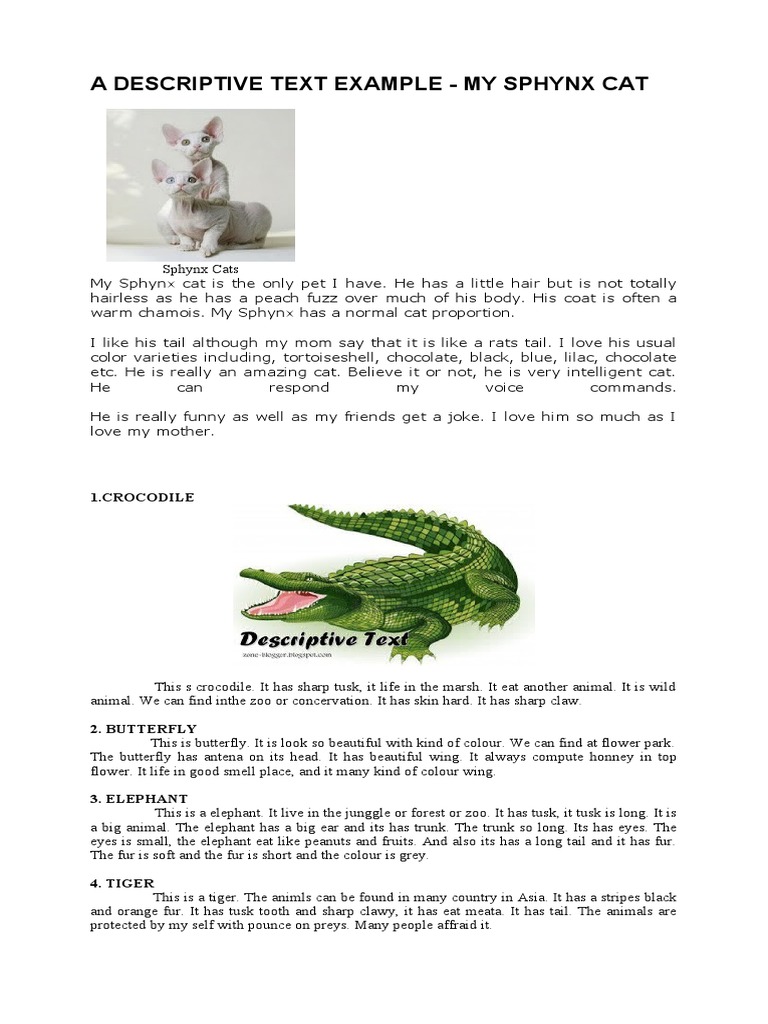 A Descriptive Text Example | PDF | Elephant | Weather