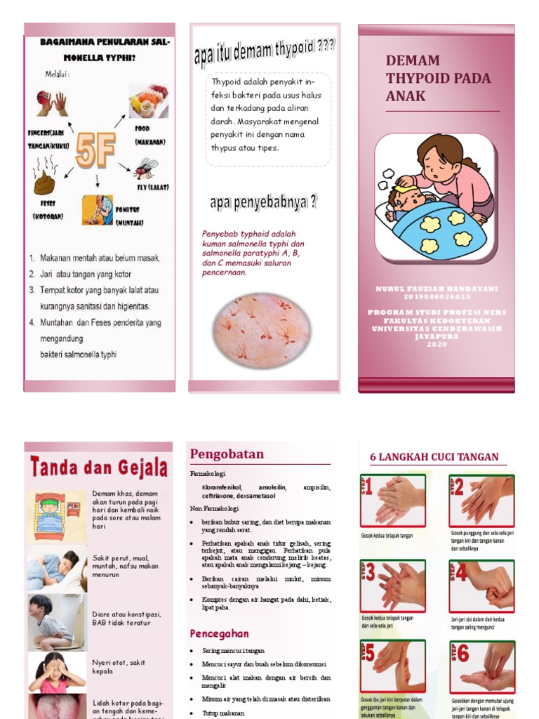 Leaflet Demam Thypoid | PDF