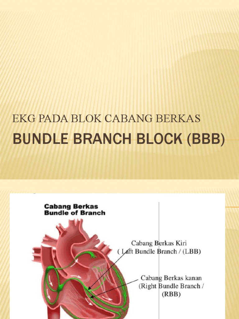 Interpretasi BBB TAVB 3 | PDF
