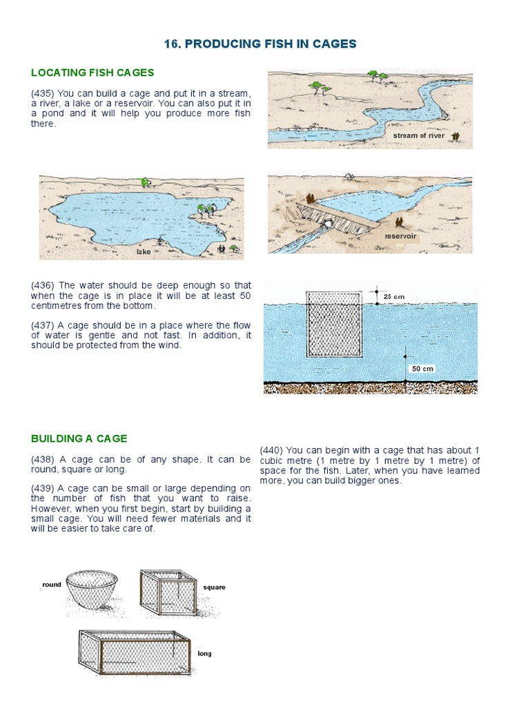 Building and Managing Fish Cages | PDF | Rope | Fish