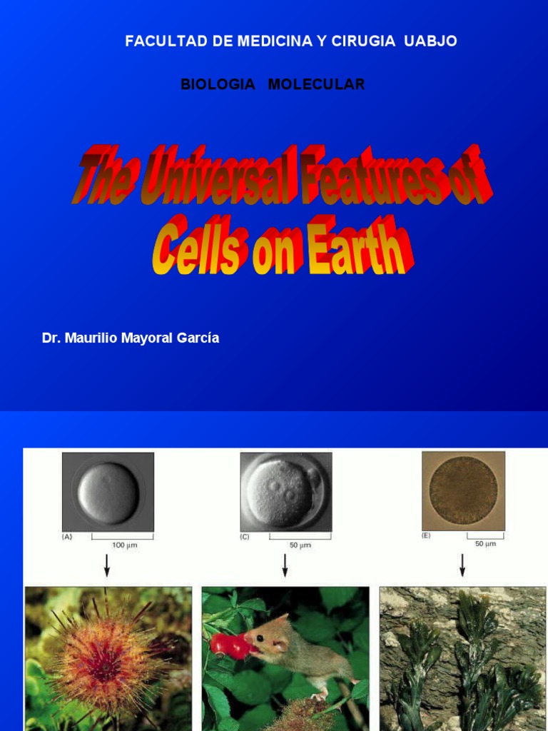 1.the Universal Features of Cells On Earth | PDF