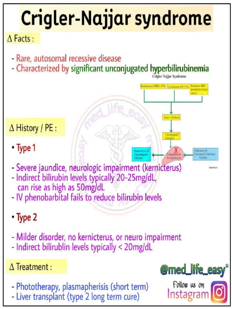 Crigler-Najjar Syndrome | PDF