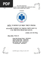 FORMAT TRÌNH BÀY TIỂU LUẬN.IUH | PDF