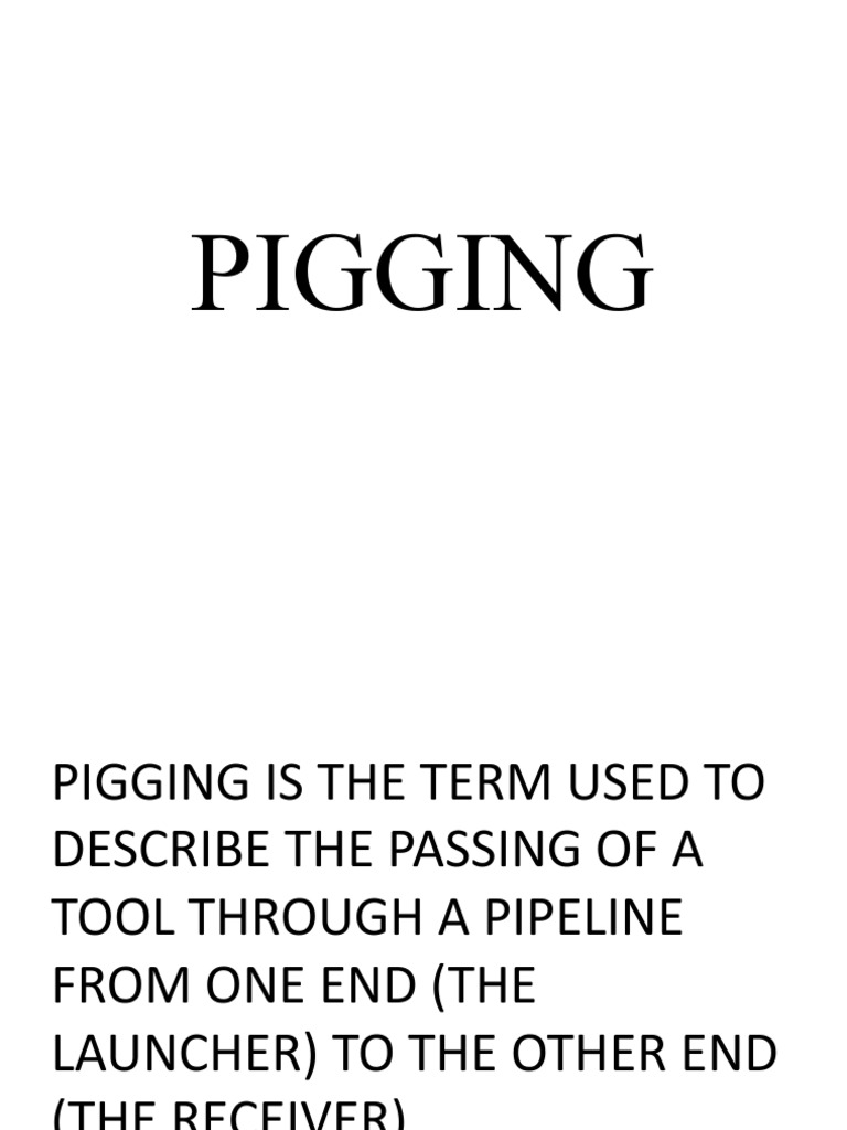 Pigging Presentation | PDF | Business Process | Building Engineering