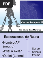 ANEXO TEMA 3 RODILLA-Fosa Intercondilea | PDF | Rodilla | Pelvis