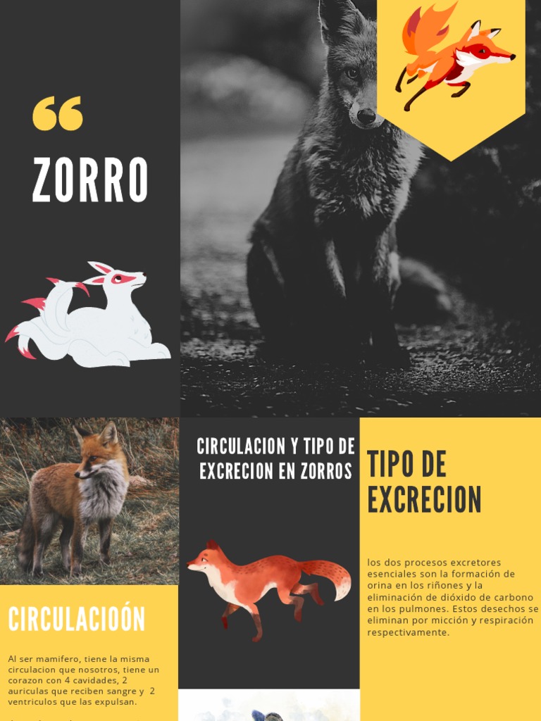 Zorro PDF | PDF