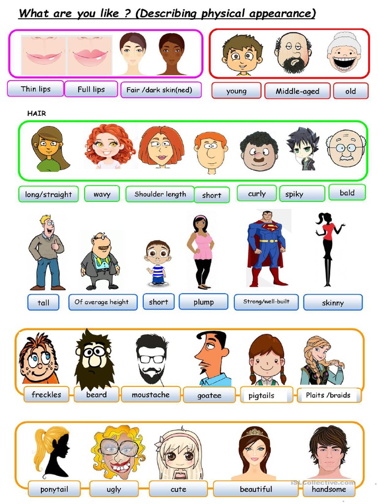 Describing Physical Appearance PDF | PDF