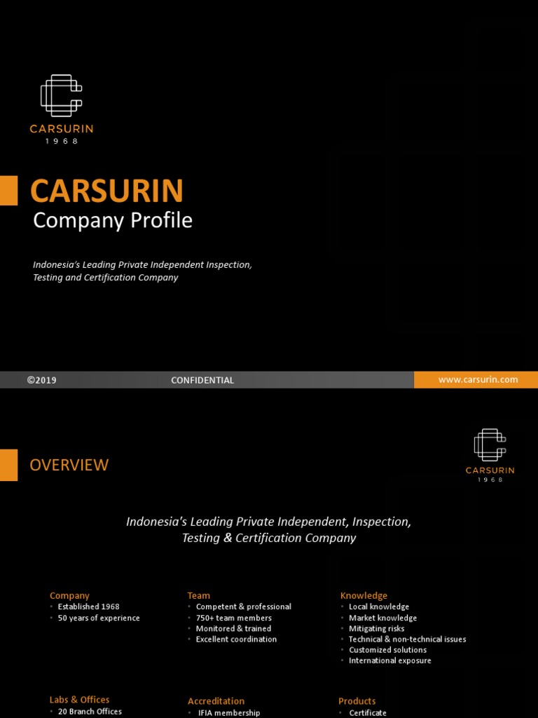 CARSURIN Company Profile (2020) | PDF | Unmanned Aerial Vehicle ...