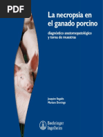 Baciloscopia Oms | PDF | Tuberculosis | Medicina