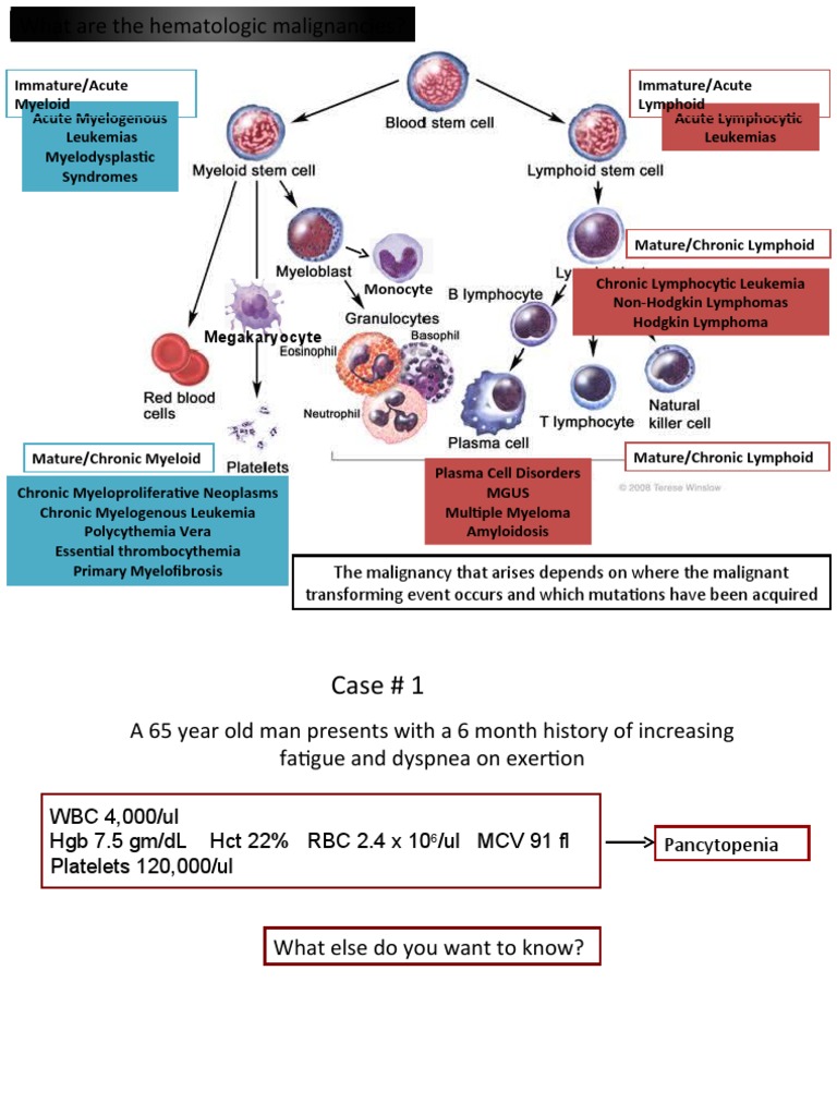 Heme Malignancy Review 2020 | PDF | Lymphoma | Chemotherapy