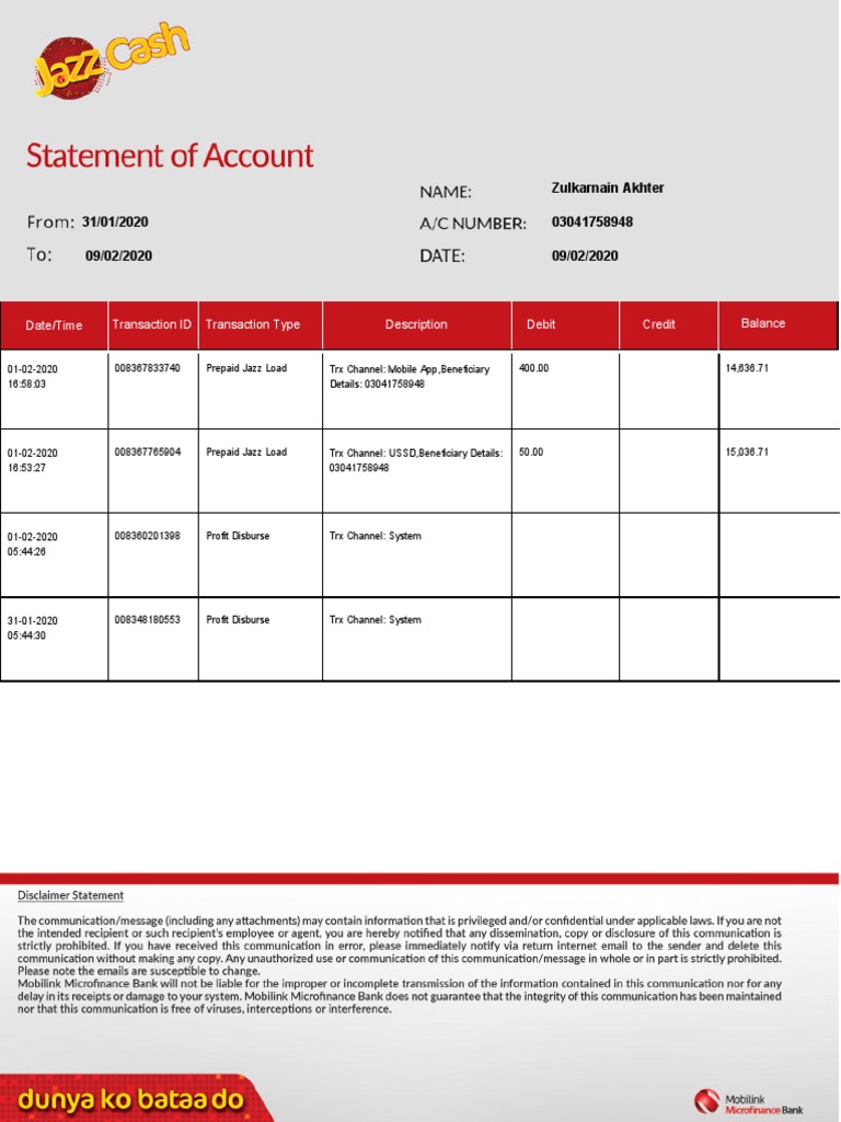 Account Statement | PDF