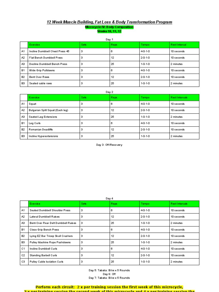 12 Week Muscle Building, Fat Loss & Body Transformation Program | PDF ...
