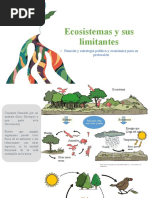 Ecosistemas Principales de RD | PDF | Los bosques | Mangle