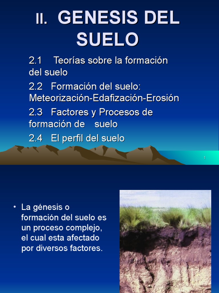 Génesis Del Suelo | PDF | Minerales | Roca (geología)