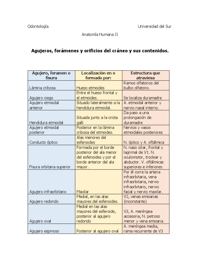 Embriología Del Foramen Ciego