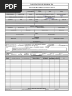 Formato de Control Vehicular | PDF
