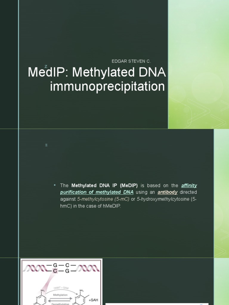 Medip: Methylated Dna Immunoprecipitation: Edgar Steven C | PDF | Omics ...