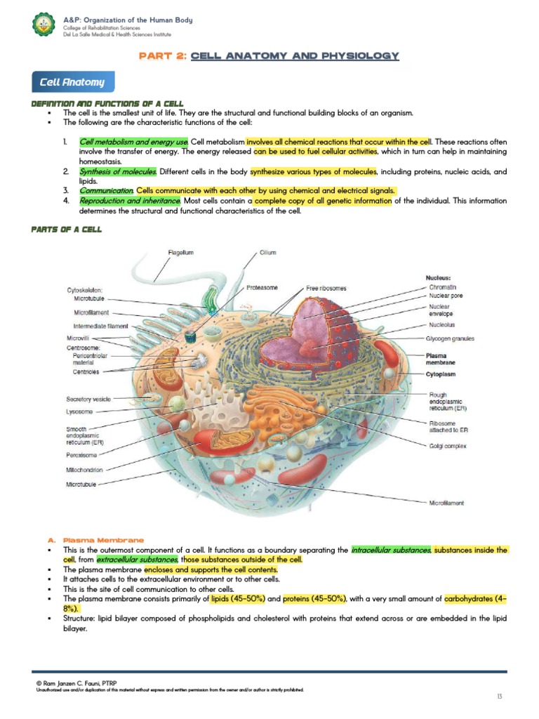 002 Cell Membrane Physiology | PDF | Cell Membrane | Cell Nucleus