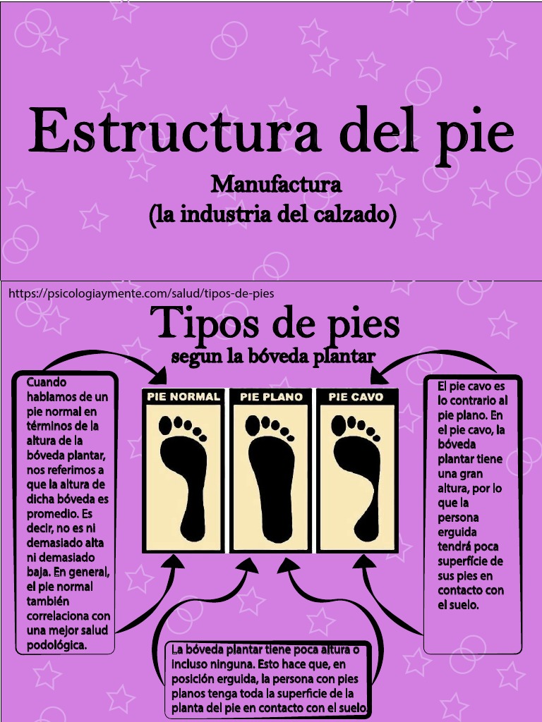 Tipos de pies según su anatomía | PDF | Dedo del pie | Pie