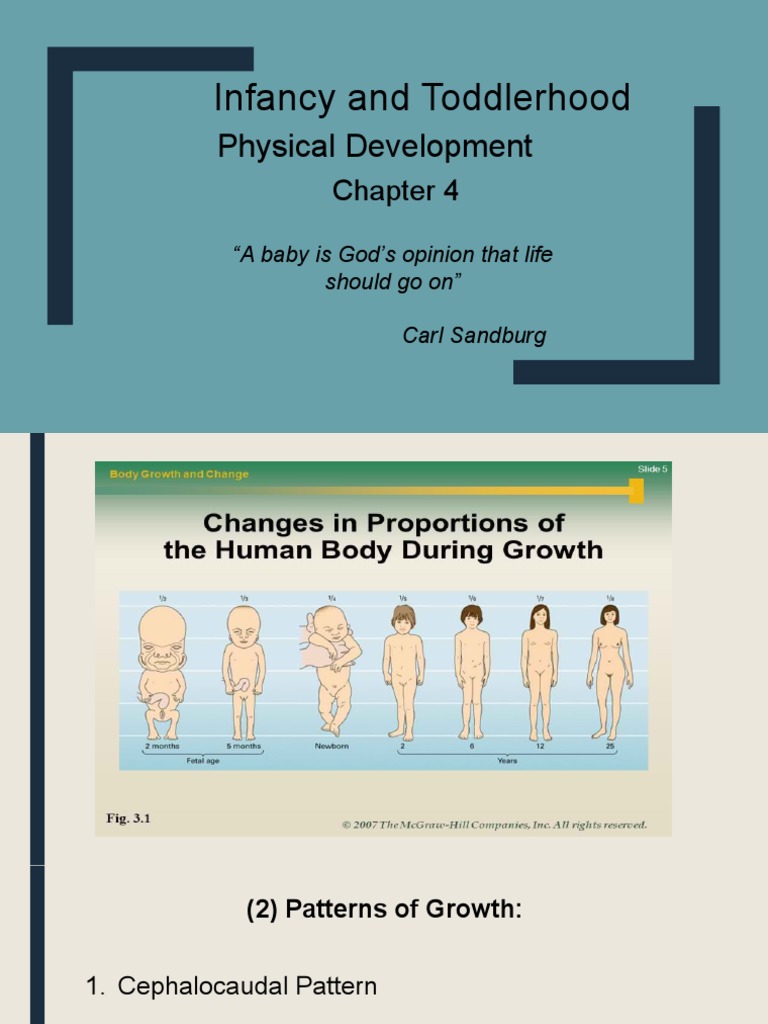 Infancy and Toddlerhood: Physical Development | PDF | Infants | Brain