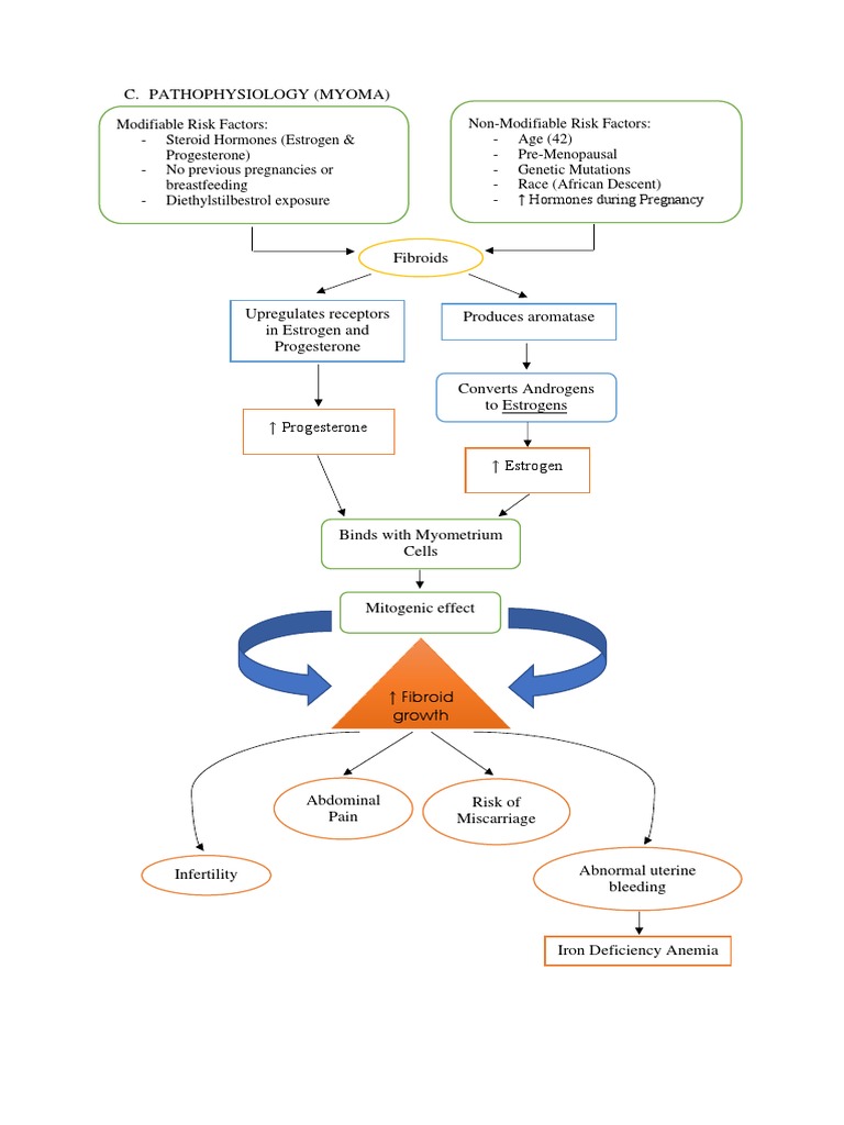Myoma Pathophysiology | PDF | Estrogen | Reproductive System