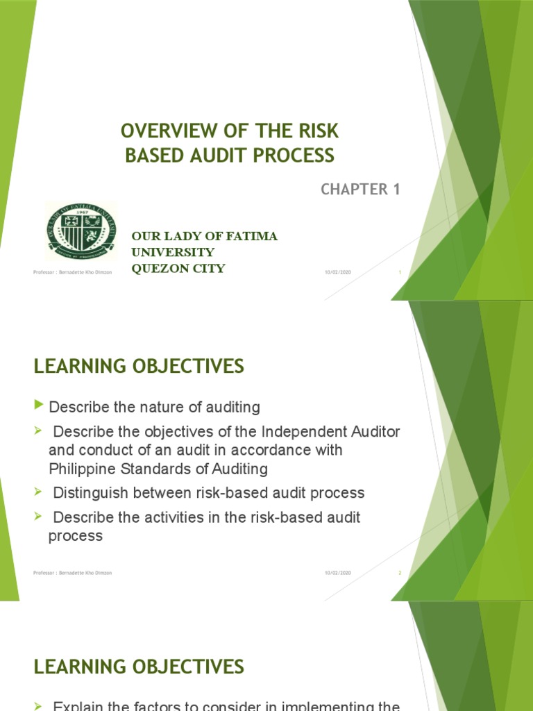 Module 1 Overview of The Risk-Based Audit Process | PDF | Financial ...