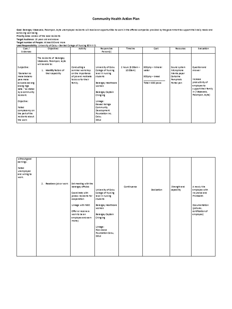 CABUCOS - Community Health Action Plan Final 1 | PDF | Nursing | Business