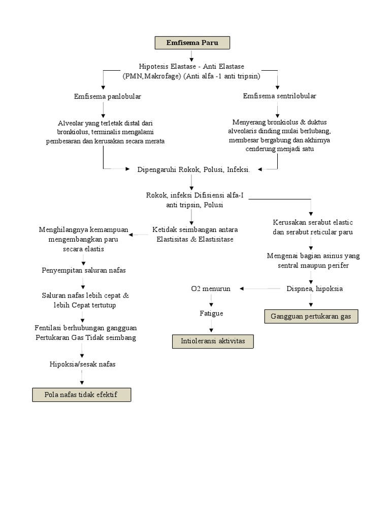 Penyimpangan KDM Pathway Emfisema | PDF