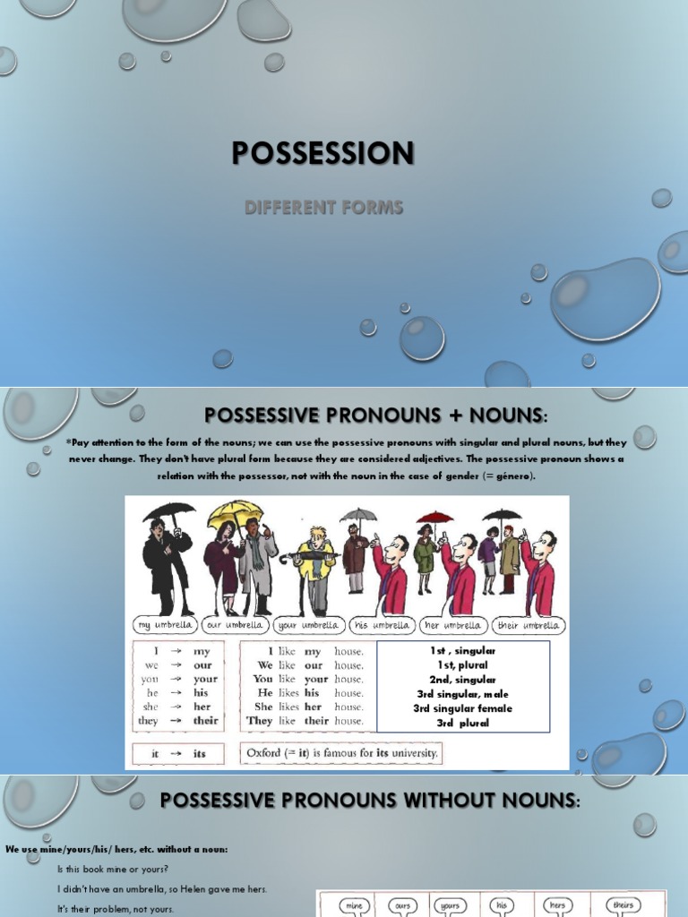 Possession: Different Forms | Download Free PDF | Grammatical Number ...
