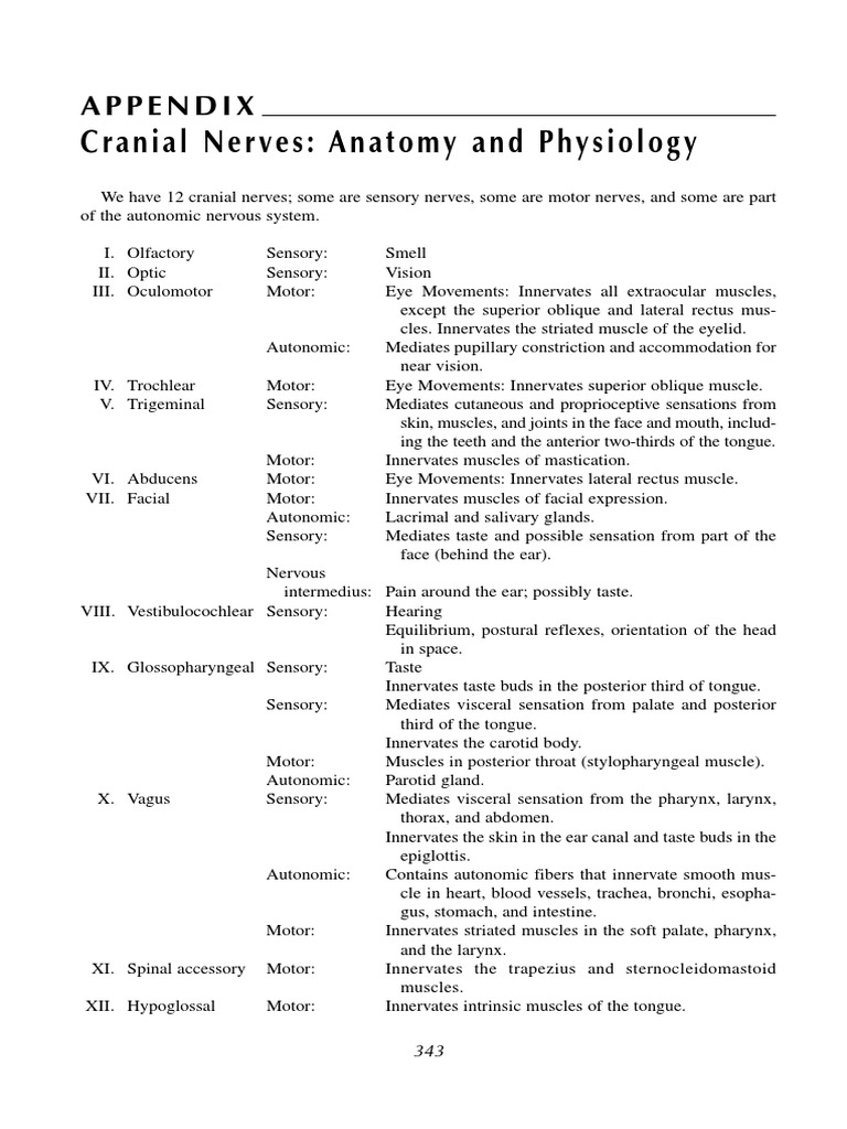 Cranial Nerves: Anatomy and Physiology: Appendix | PDF | Brainstem ...