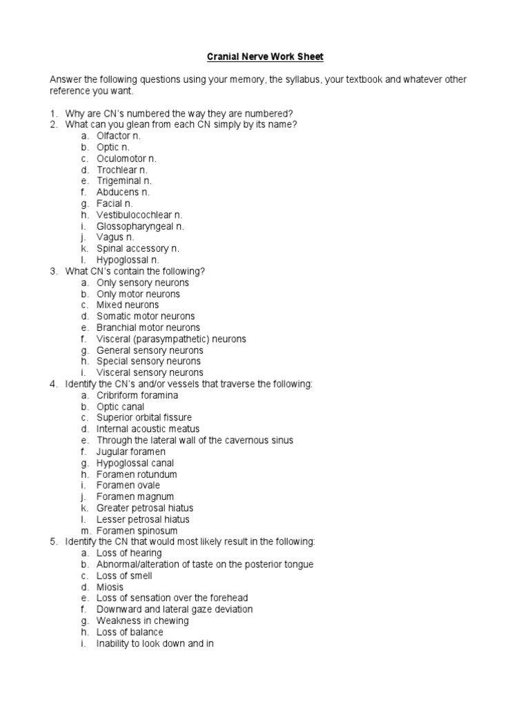 Cranial Nerve Worksheet and Functions | PDF | Human Anatomy | Nervous ...
