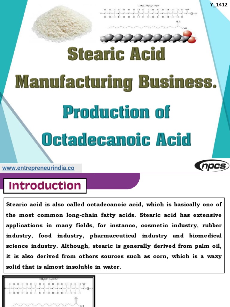 Stearic Acid Manufacturing Business-404067 PDF | PDF | Economies ...