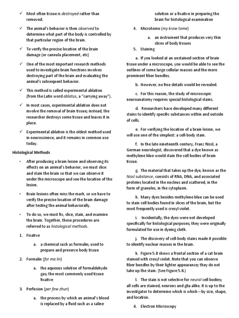 Brain Lesion Localization Techniques | PDF | Staining | Histology