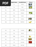 Observation of Mongo | PDF