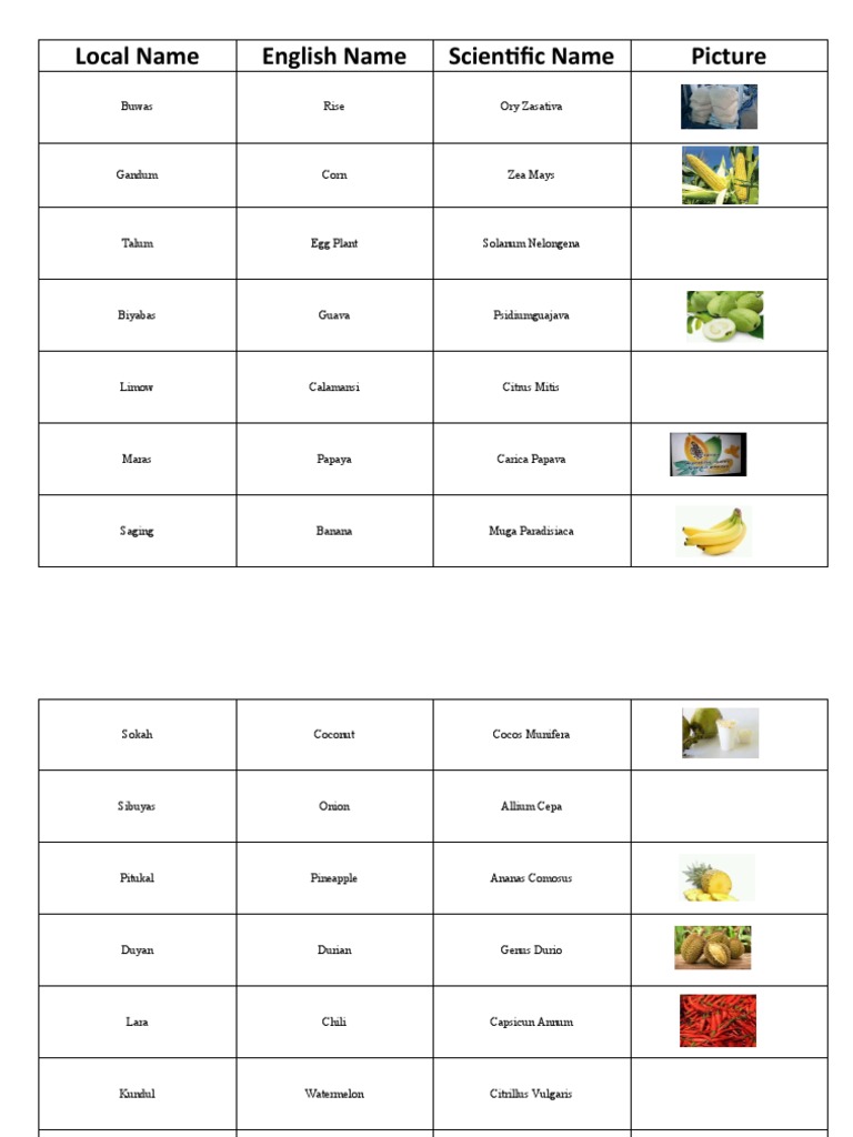 Scientific Names of Philippine Flora and Fauna | PDF | Cooking, Food ...