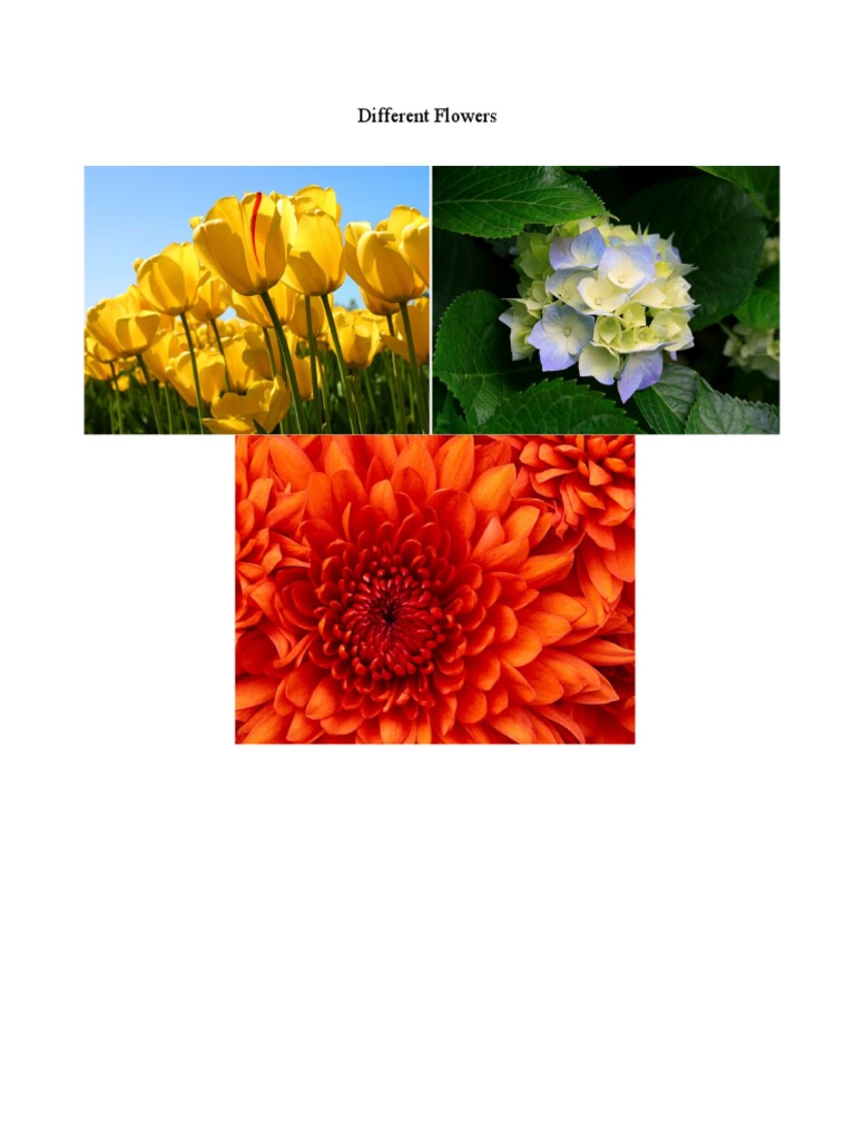 Flowers | PDF