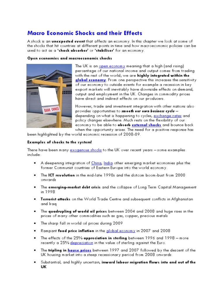 21 Macro Economic Shocks and Their Effects | PDF | Price Of Oil | Inflation