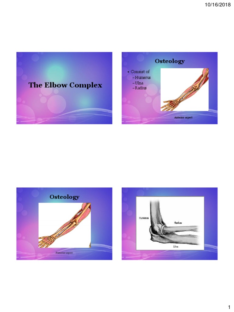 The Elbow Complex: Osteology | PDF | Elbow | Anatomical Terms Of Motion