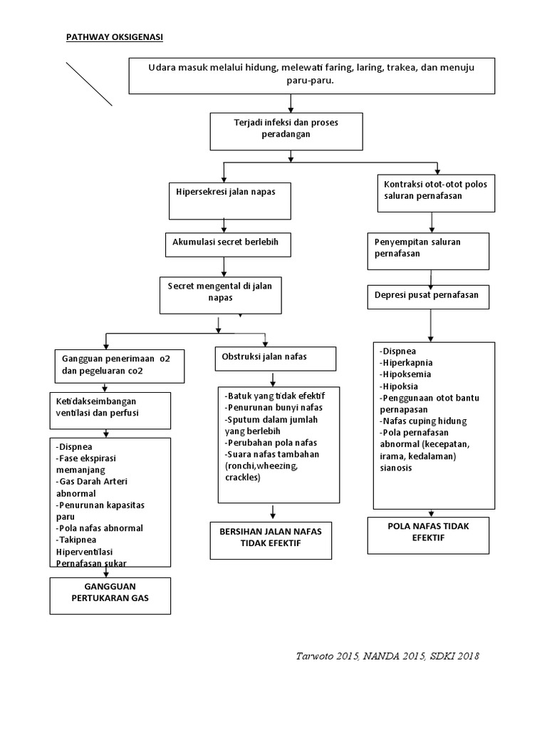 PATHWAY Oksigenasi | PDF